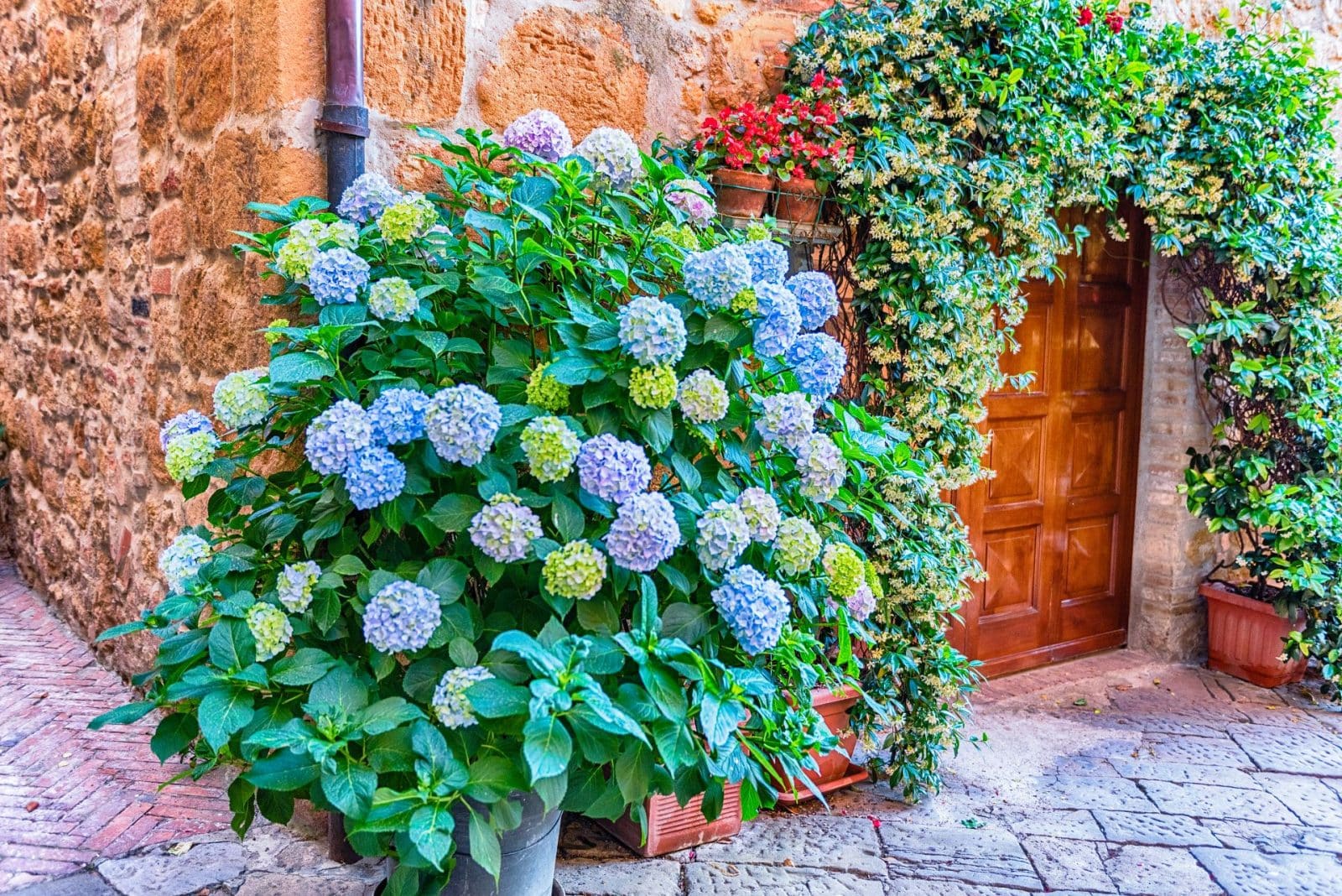 7 flower-filled villages to visit in Italy in spring